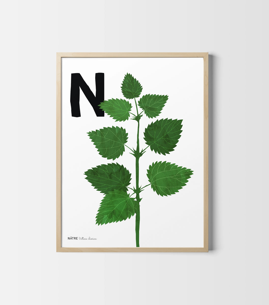 Nettle — Graphic Print – MIESAI — Design things with a Baltic twist by ...