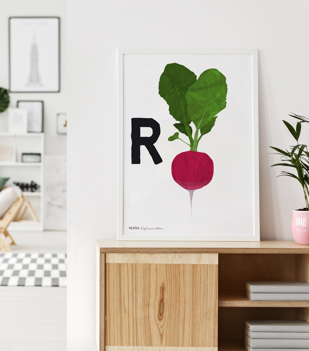 Radish — Graphic Print – MIESAI — Design things with a Baltic twist by ...